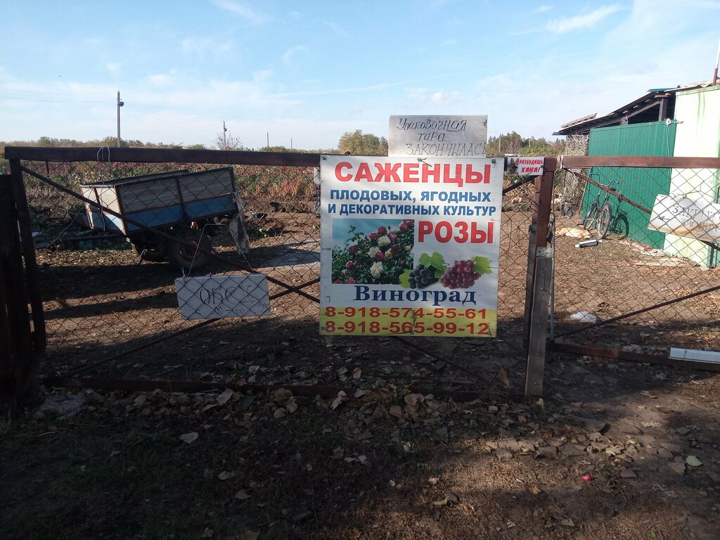 Bahçecilik dernekleri ve kuruluşları Plodopitomnik, Spk, Semikarakorsk, foto