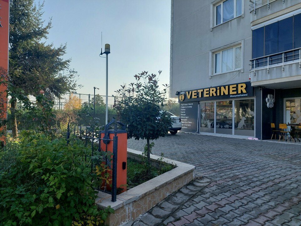 Veteriner klinikleri Vetorka Veteriner Kliniği, Bursa, foto