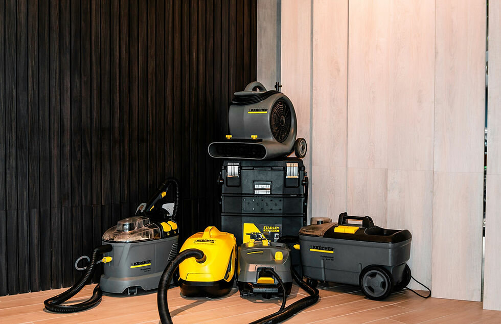 Halı yıkamacılar Kleander, Lima, foto