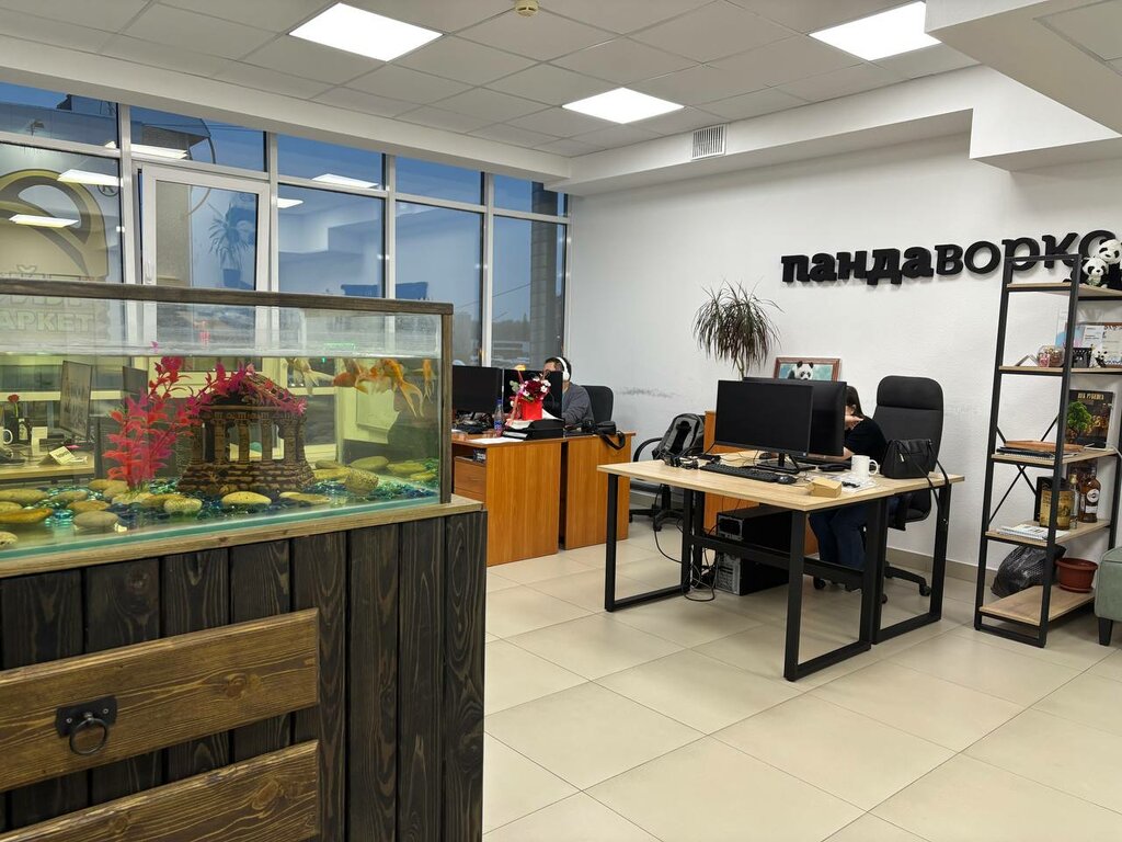 Bilişim firmaları Pandaworks, Ufa, foto