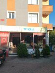 Kral Çiğköfte (Mevlana Mah., Cici Sok., No:1, Sancaktepe, İstanbul), restoran  İstanbul'dan