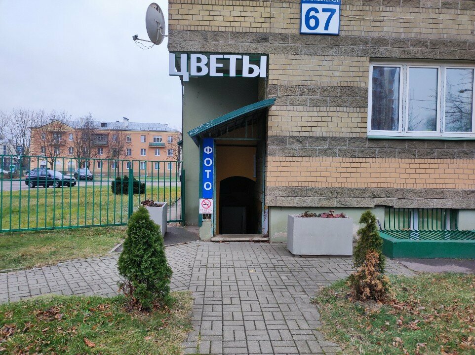 Fotoğraf hizmetleri Srochnoye Foto na Dokumenty, salon Pechati Belevromed-Uzdym, Minsk, foto