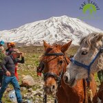 Taf Travel - Ararat Climbing Besteigung (Ağrı, Doğubayazıt, Çiftepınar Mah., Abdullah Baydar Cad., 2), seyahat acenteleri  Doğubayazıt'tan