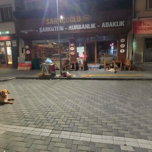 Çınar Lokantası (Bartın, Ulus, Saz Mah., Uğur Mumcu Cad., 42), restoran  Ulus'tan