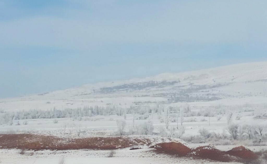 Muhtarlıklar Civelek Köy Muhtarlığı, Gülşehir, foto