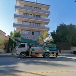 Çorum Şahin Taşımacılık (Çorum, Çorum Merkez, Ata Cad., 157A), nakliye firmaları  Çorum'dan