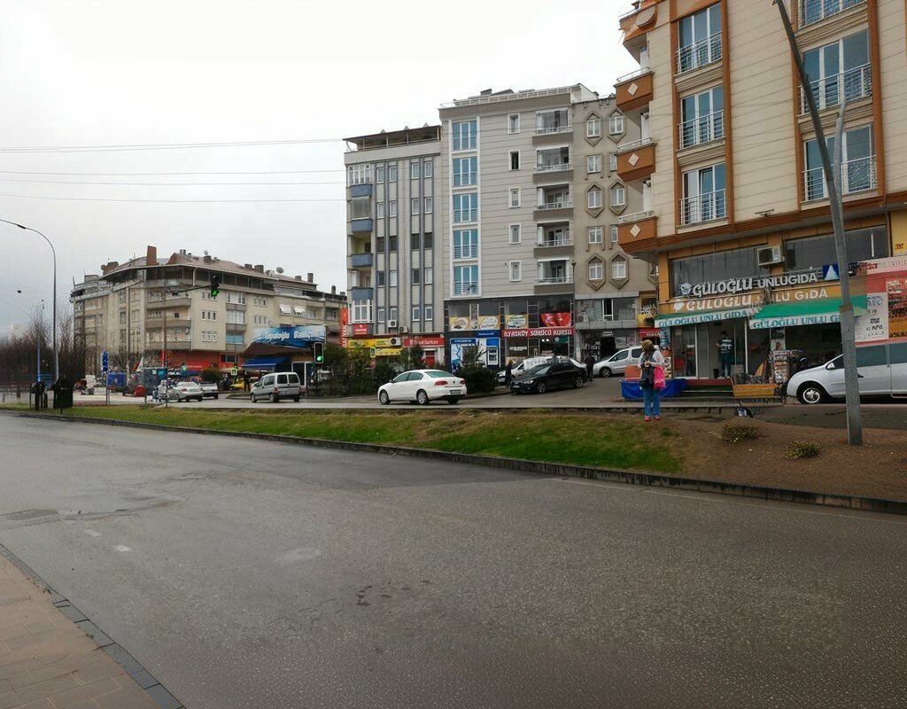 Sürücü kursları İlkadım Özel Sürücü Kursu, Samsun, foto
