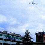 Ak Parti Ordu İl Başkanlığı (Selimiye Mah., Lise Cad., No:5, Altınordu, Ordu), siyasi partiler  Altınordu'dan