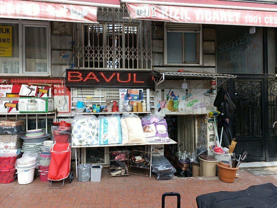 Akvaryumlar Habitat Akvaryum, İstanbul, foto