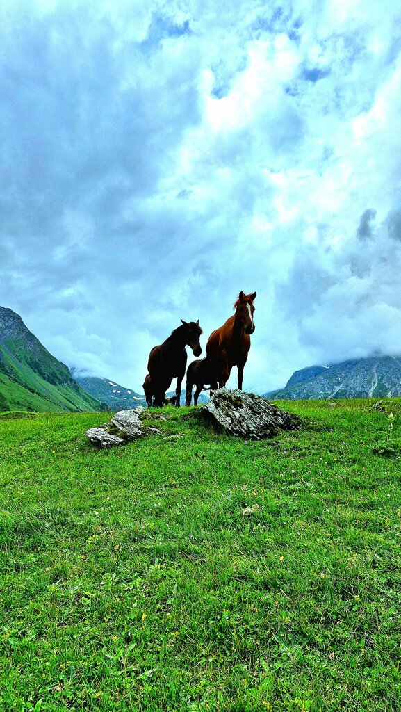 Dağ zirvesi Gülci-tau Dağı, Kabardino‑Balkarya, foto