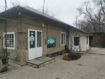 Treidcom (ulitsa Shevchenko No:108, municipiul Bălţi), toptancılar  Beltsi'den