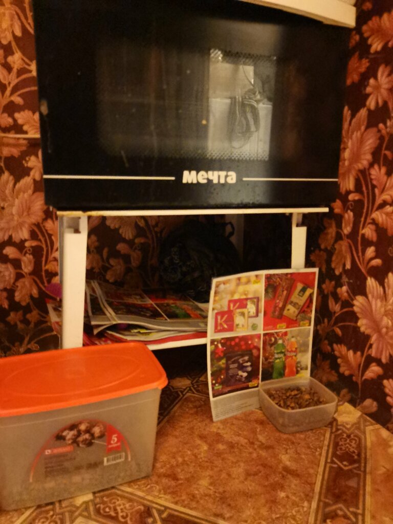 Anaokulları Шипицинский детский сад, Sverdlovskaya oblastı, foto