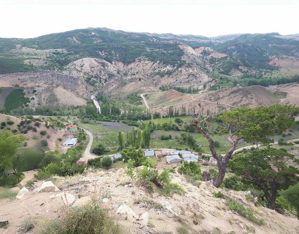 Muhtarlıklar Kuruköprü Köy Muhtarlığı, Zara, foto