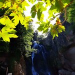 Yalova Şelale Alabalık Tesisleri (Yalova, Termal, Yenimahalle Köyü), yol kenarı dinlenme alanı  Termal'den
