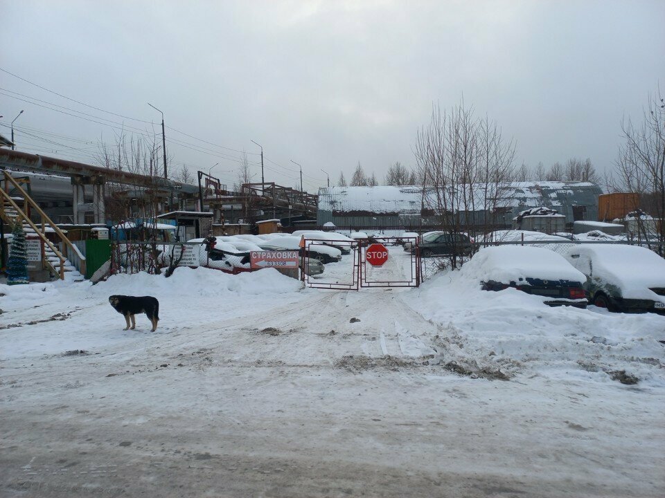 Yediemin otoparkları Штрафстоянка, Petrozavodsk, foto