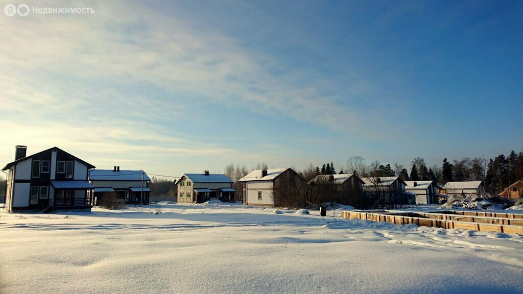 Yazlık yerleşim Никольское – Лесное, Moskova ve Moskovskaya oblastı, foto
