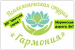 Гармония (Murinskaya Road No:8к1, Saint Petersburg), psikolojik yardım merkezleri  Saint‑Petersburg'dan