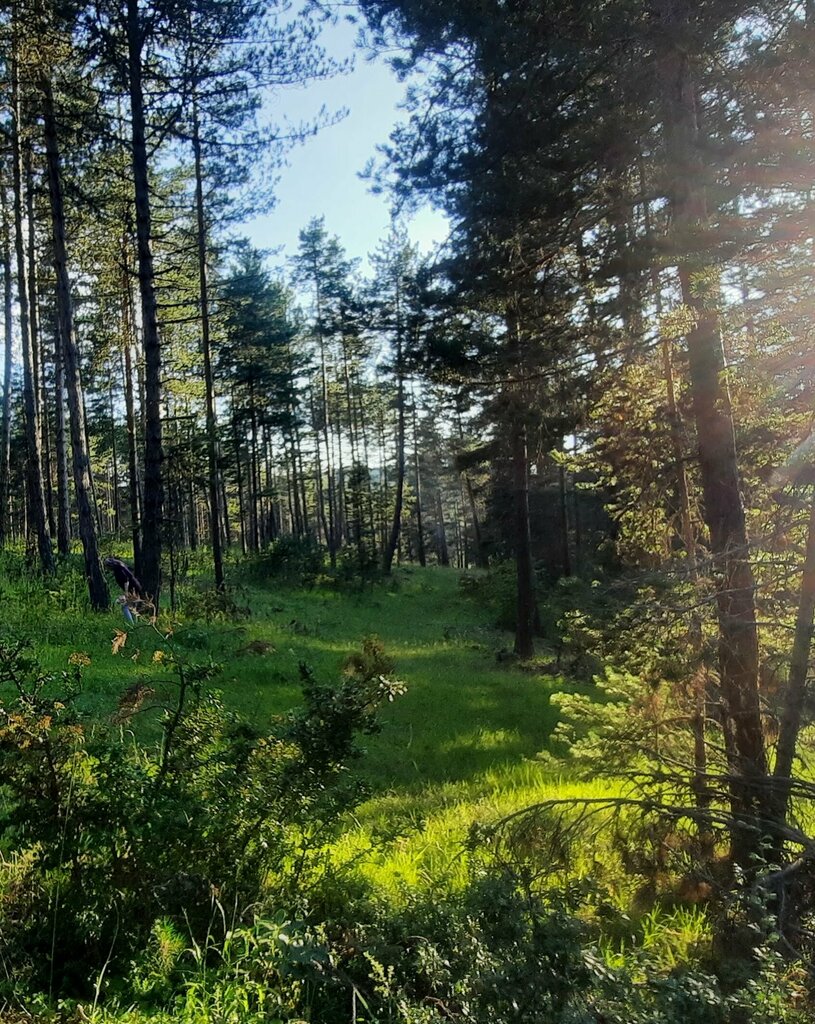 Muhtarlıklar Sorkuncuk Köy Muhtarlığı, Daday, foto