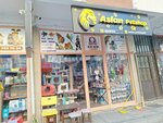 Aslan Petshop (İstanbul, Çekmeköy, Mehmet Akif Mah., Kubilay Cad., 3B), petshop  İstanbul'dan