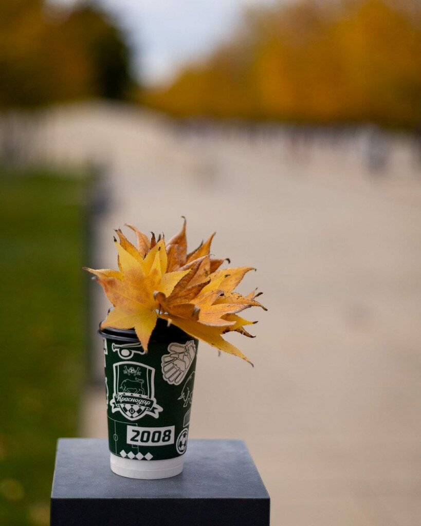 Fast food Фаст-Фуд, Krasnodar, foto