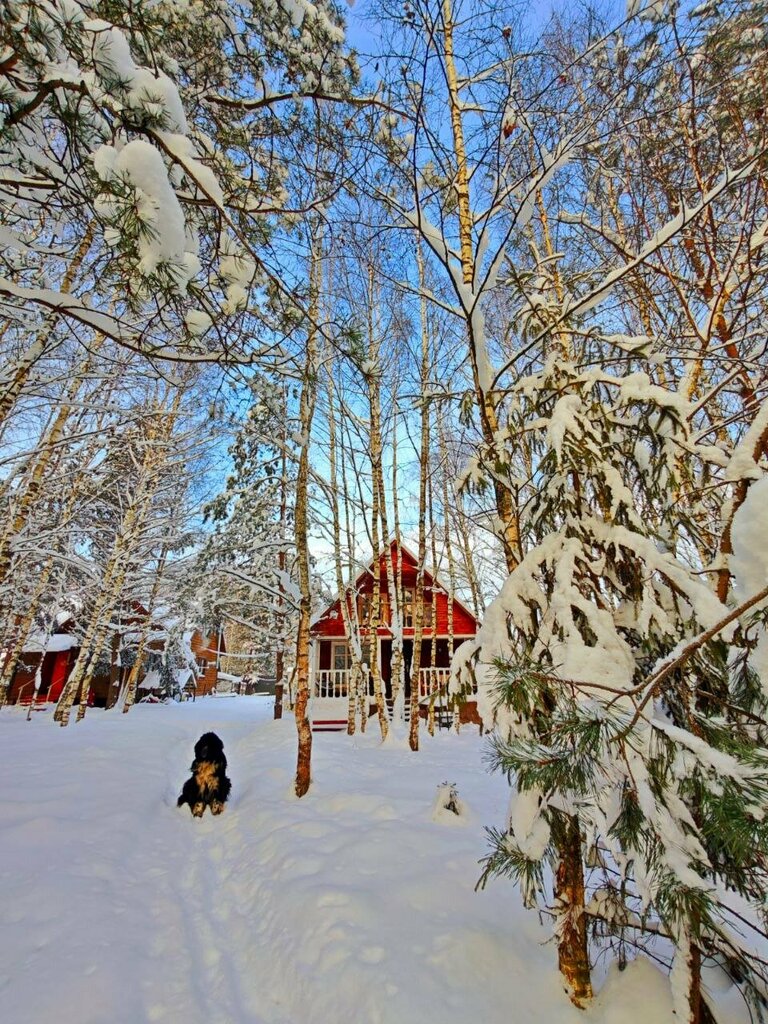 Konuk evi Вишнёвый домик, Vladimirskaya oblastı, foto