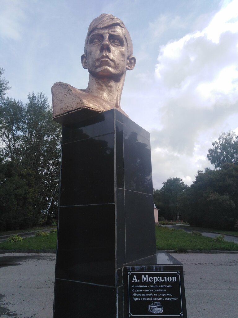 Anıt, heykel Мемориальный комплекс, Riazanskaya oblastı, foto