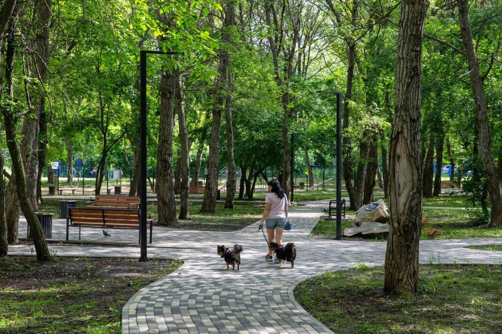 Kültür ve eğlence parkları Ореховая роща, Stavropol, foto