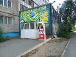 N. M. Romanova Ip (Ertis street No:17Д), reklam ajansları  Semey'den