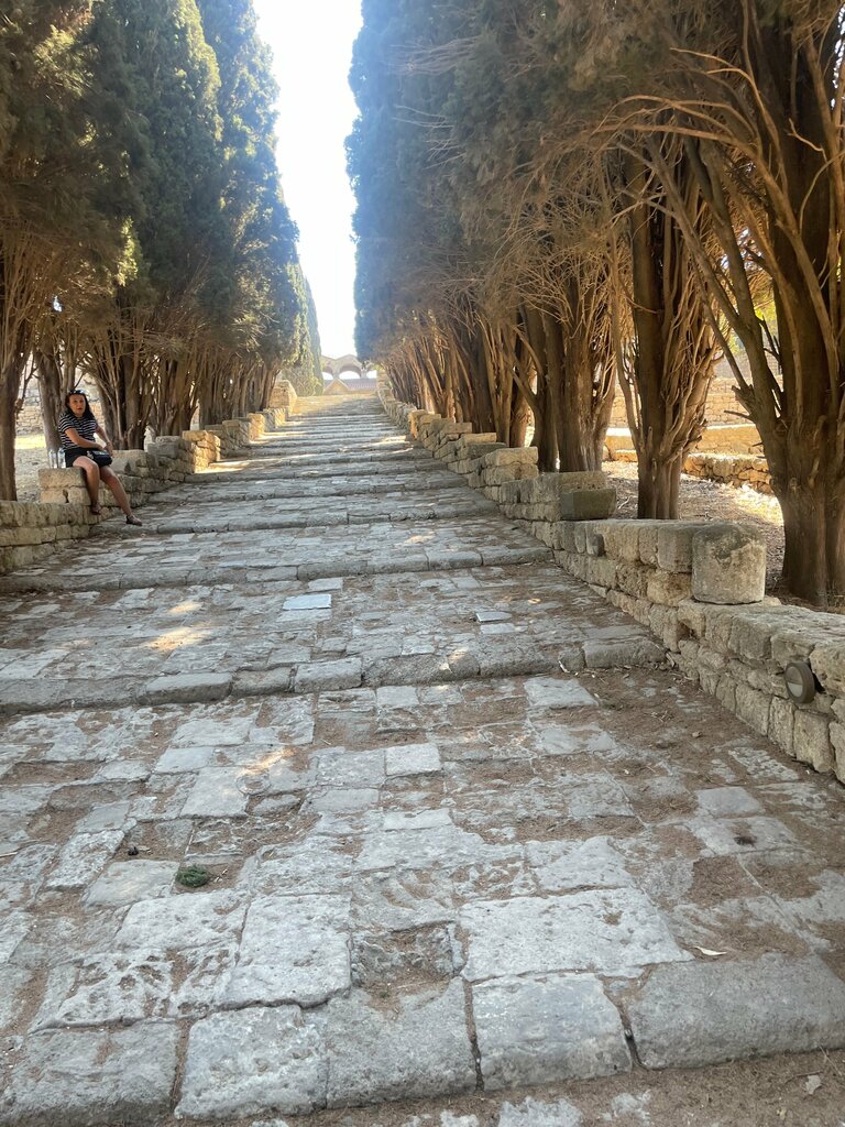 Turistik yerler аллея Путь Христа на Голгофу, Dünya, foto