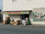Azer. Fruits (Mańǵystaý oblysy, Aktau, 3B shaǵyn aýdany), manavlar  Aktav'dan