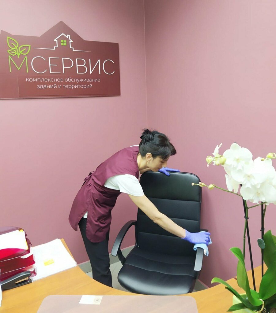 Temizlik şirketleri M Service, Moskova, foto