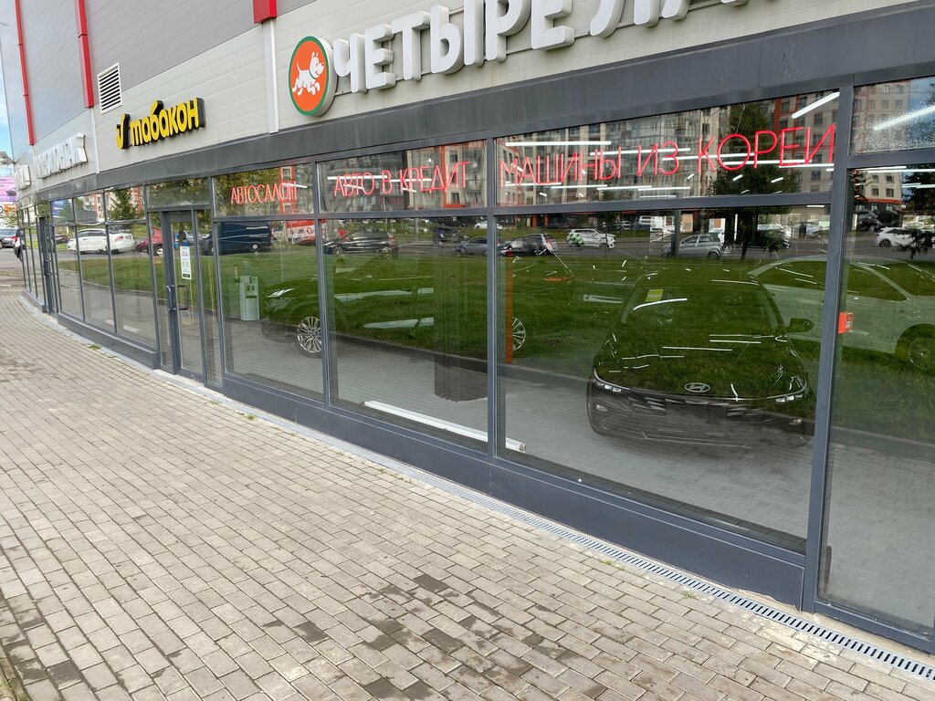 Otomobil satış galerileri Car-Hub, Saint‑Petersburg, foto
