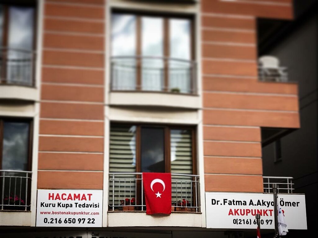 Alternatif tıp merkezleri Dr. Fatma Akyol Ömer Akupunktur ve Hacamat, İstanbul, foto