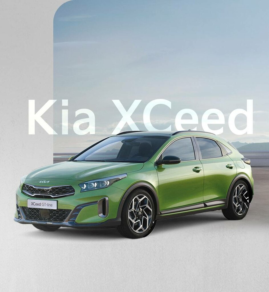 Otomobil satış galerileri Şimşek otomotiv, İzmir, foto