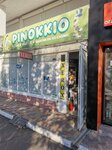 Pinokio (strada Alexandru cel Bun No:31), kırtasiyeler  Ialoveni'den
