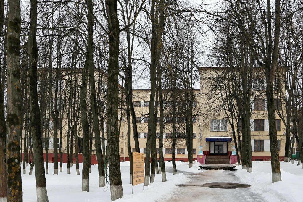Yüksekokul Кольчугинский политехнический колледж, Kolçugino, foto