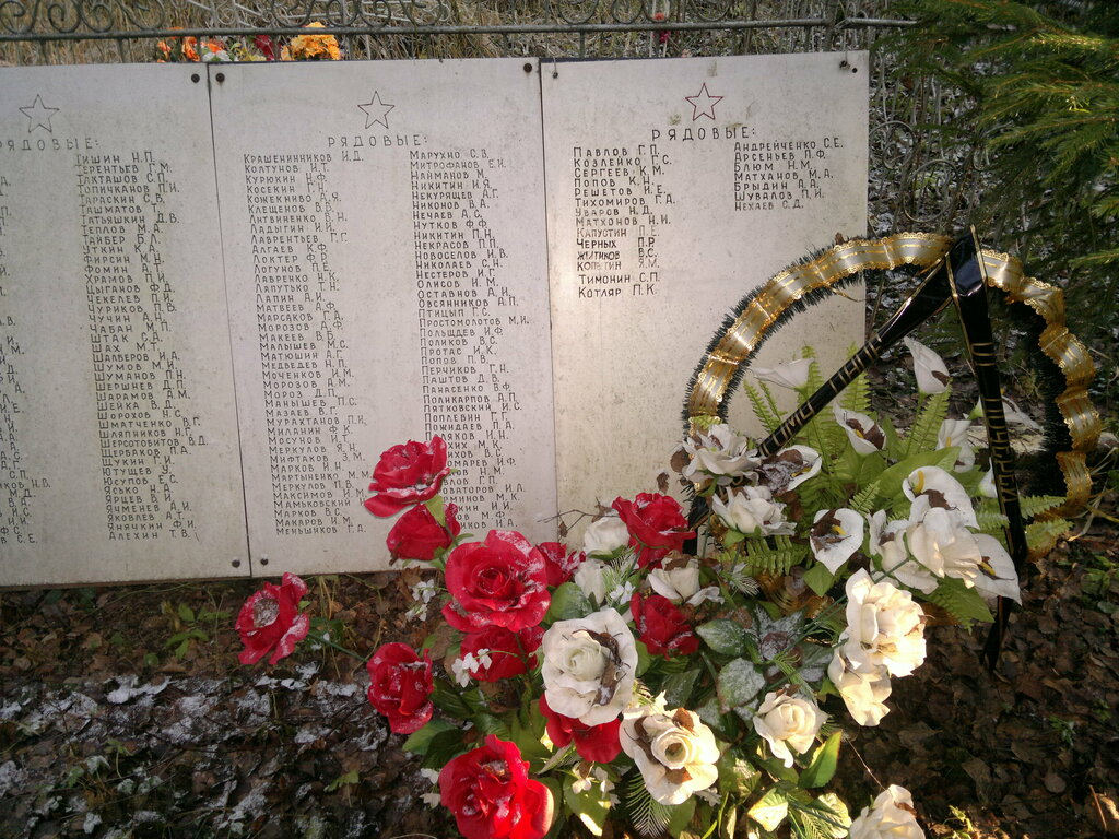 Anıt, heykel Братская могила советских воинов 1941-1942 гг., Novgorodskaya oblastı, foto