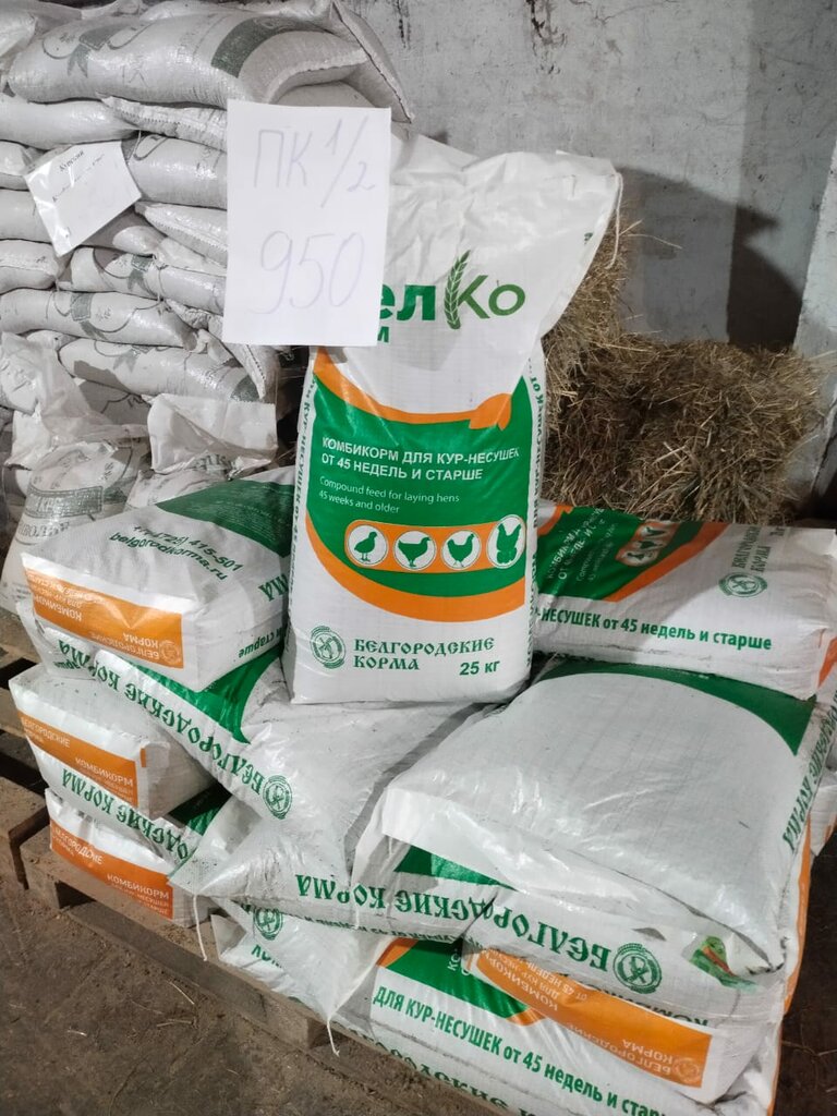 Yem ve yem katkı maddeleri Зерно-Комбикорм ИП Нистратов К.В., Şatsk, foto