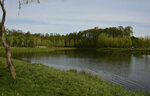 Spring, stream (Gomiel, Chygunachny District), pınar, çay  Gomel'den