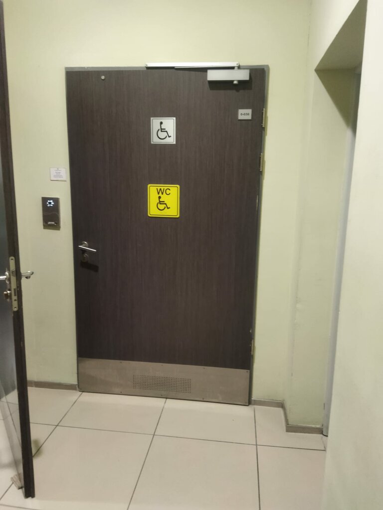Engelliler için tuvalet Handicapped toilet, Domodedovo, foto
