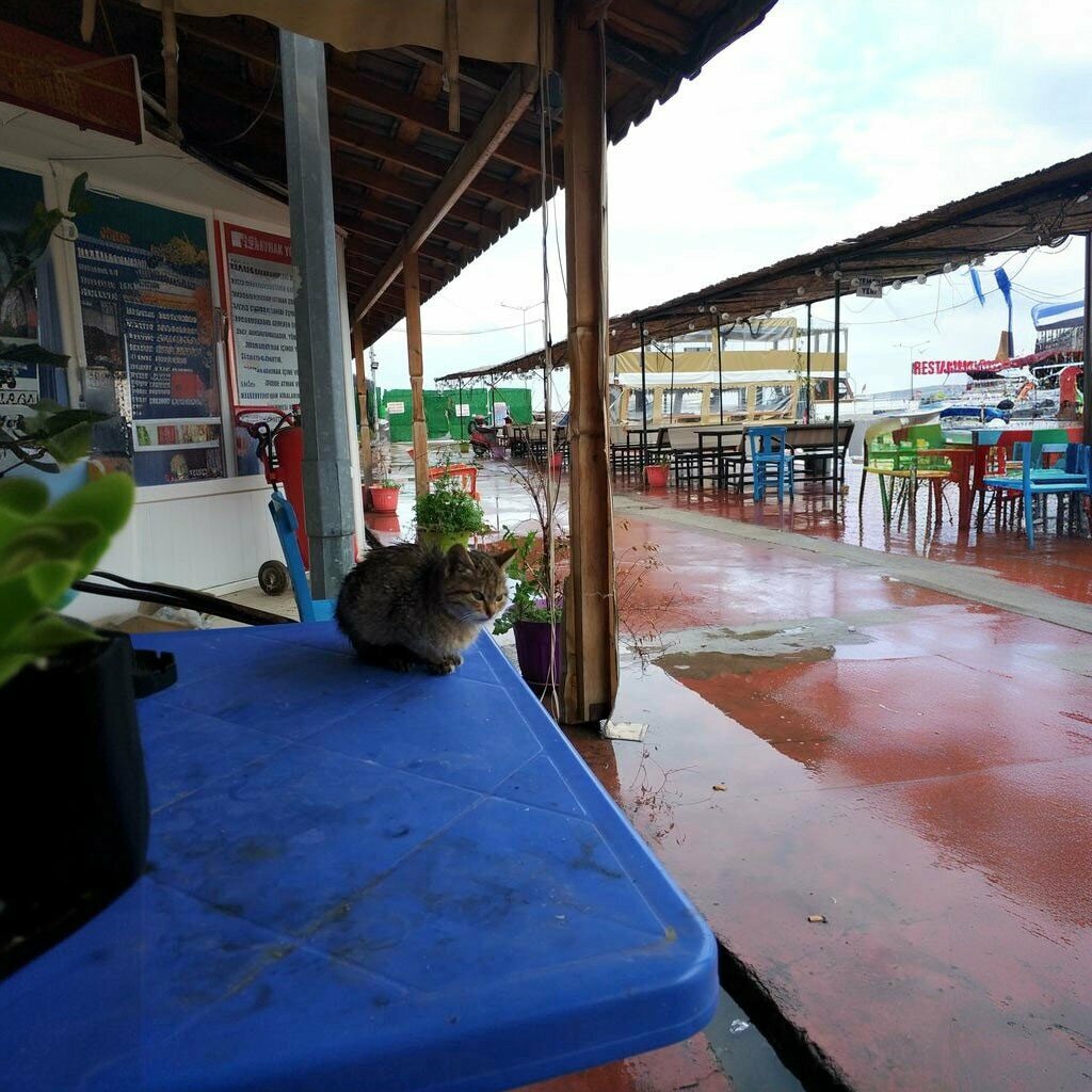 Kültür ve eğlence parkları Binali Yıldırım Denizcilik Parkı, Aliağa, foto
