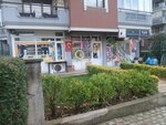 Eylül Kitap Kırtasiye (Bursa, Nilüfer, Beşevler Mah., Bilginler Cad., 159), kitap mağazaları  Bursa'dan
