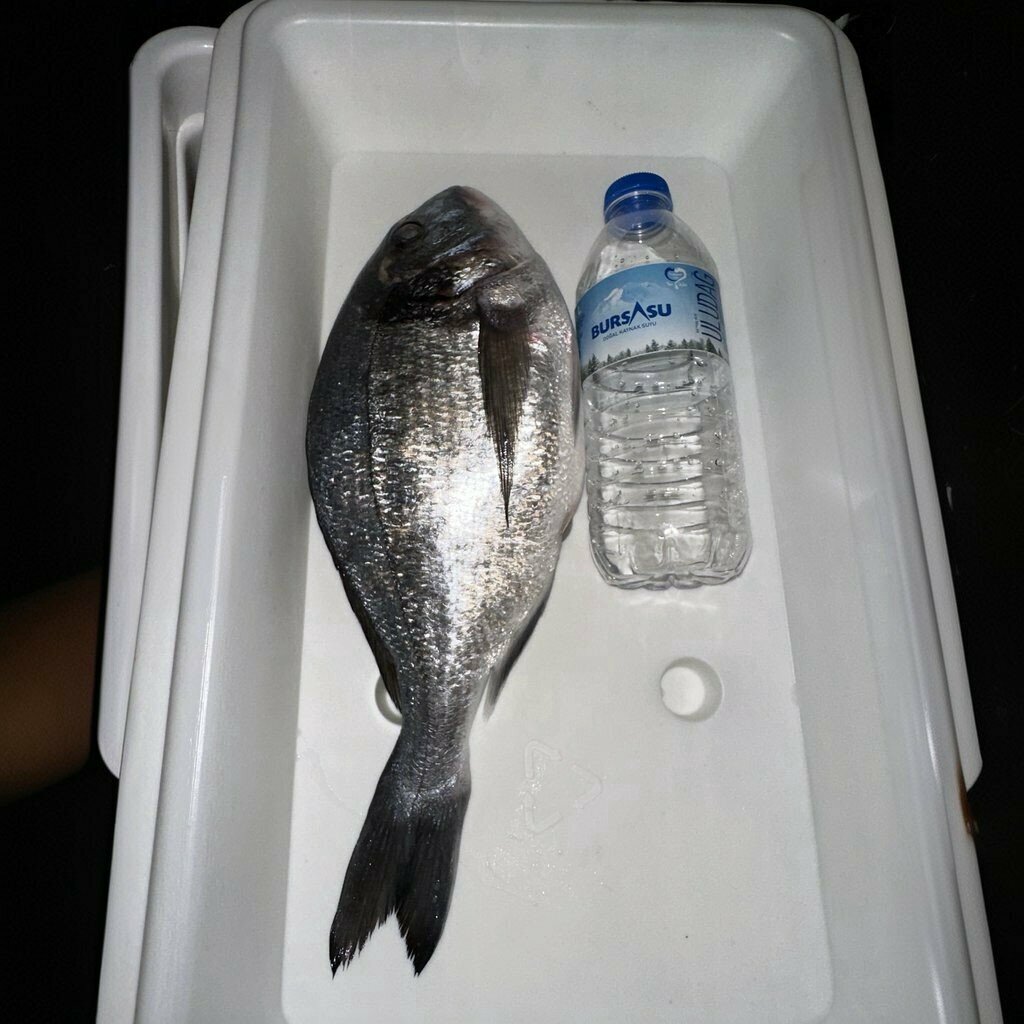 Detaylı oto bakımı Cabanak Oto Yıkama, Edremit, foto