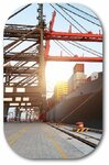 IM Industry and Trade Co. Ltd. (Gülsuyu Mah., Lefke Sok., No:7, Maltepe, İstanbul), paketleme malzemeleri firmaları  İstanbul'dan