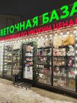 Цветочная база (Solnechniy Boulevard No:8, Lopatino Work Settlement), çiçekçiler  Moskova ve Moskovskaya oblastından