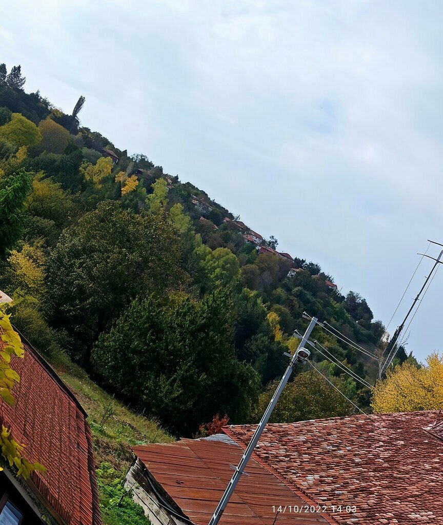 Muhtarlıklar Gölcük Köy Muhtarlığı, Araç, foto