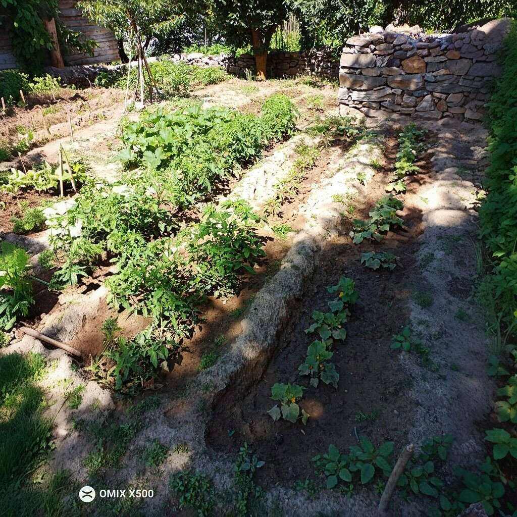 Otel Dağkalfat Köyü Muhtarlığı, Ankara, foto