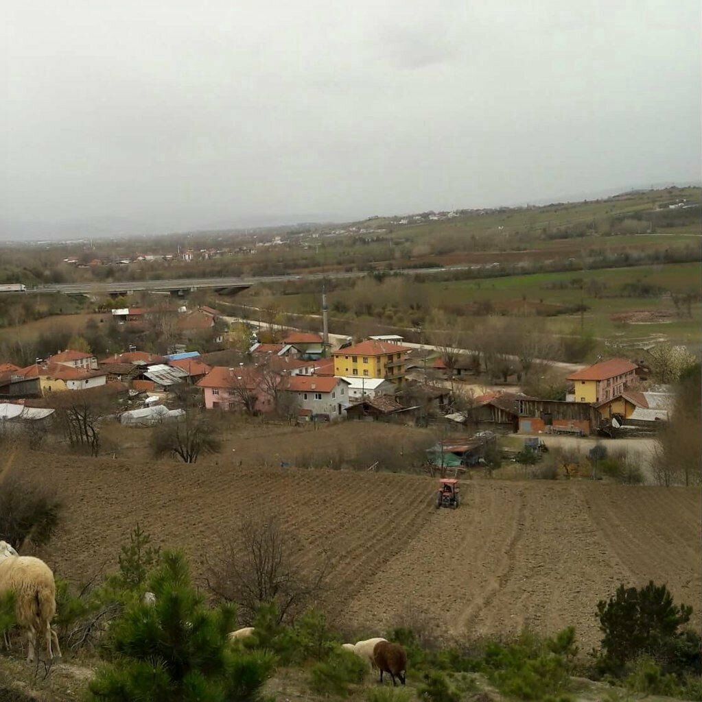 Cami Tatlar Köyü Cami, Bolu, foto