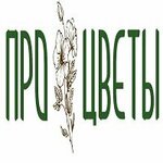 Про Цветы (ulitsa Nikolayeva No:47), çiçek teslimatı  Smolensk'ten