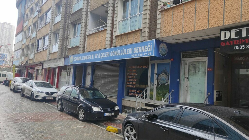 Çevre dernekleri İstanbul Hakkari İli ve İlçeleri Gönüllüleri Derneği, İstanbul, foto